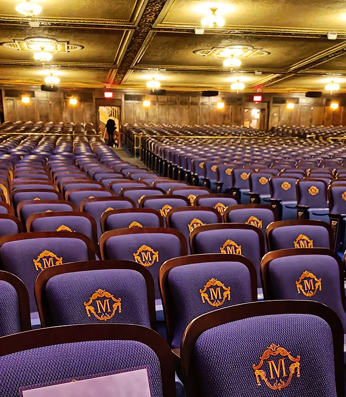 Row upon row of blue seats create an ocean of anticipation, each one offering a first-class ticket to worlds beyond imagination.