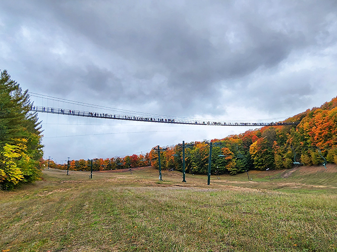 Looking up from below, the bridge appears impossibly delicate against the sky—like a spider's web strung between mountains, defying both gravity and imagination.