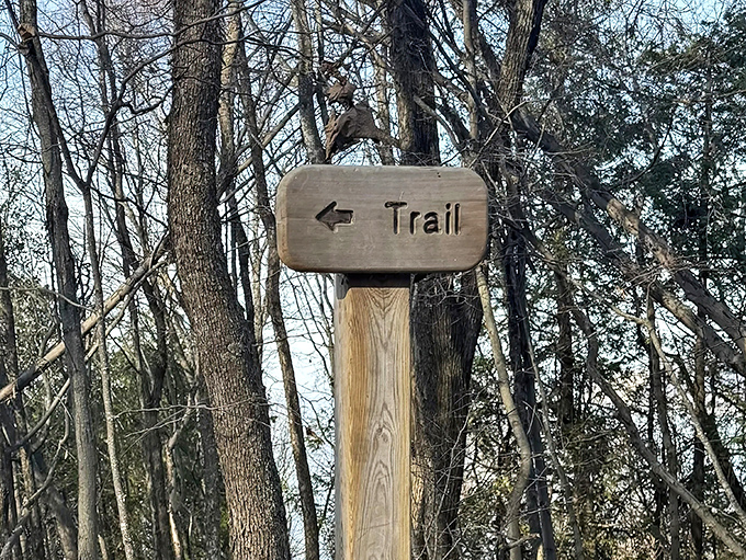 This unassuming wooden sign doesn't prepare you for what lies ahead &ndash; like a movie trailer that holds back the best scenes.