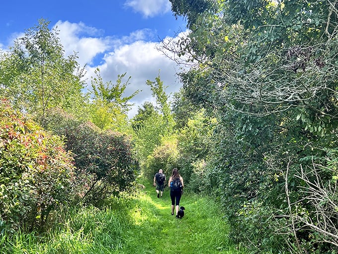 Hikers don't just walk these verdant trails &ndash; they disappear into nature's embrace, temporarily trading the digital world for something infinitely more connected.