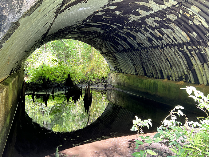 This tunnel passage creates a perfect circle of reflection, proving that Mother Nature was into Instagram-worthy spots long before Instagram existed.