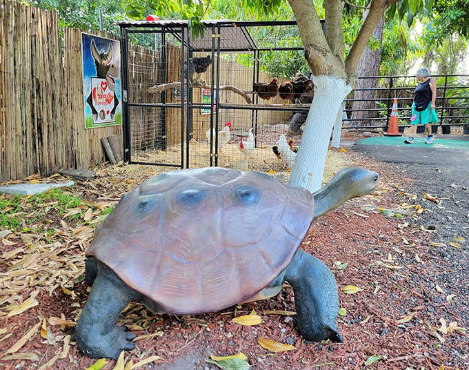 A life-sized turtle sculpture greets visitors along the pathway, its weathered patina suggesting it's been welcoming families to this magical spot for generations.