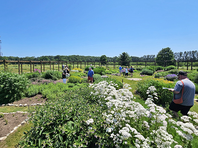 Visitors wandering through a tapestry of herbs and flowers &ndash; each step releasing new scents into the air like nature's own perfume counter.