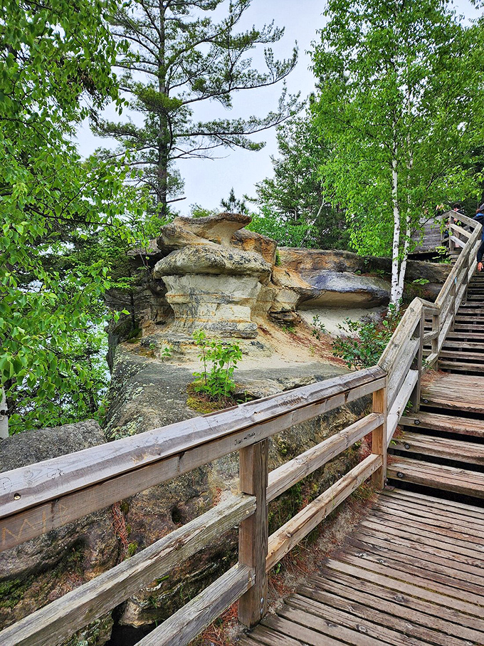 Wooden boardwalks wind through ancient stone formations, offering safe passage while preserving the fragile ecosystem that makes this place magical.