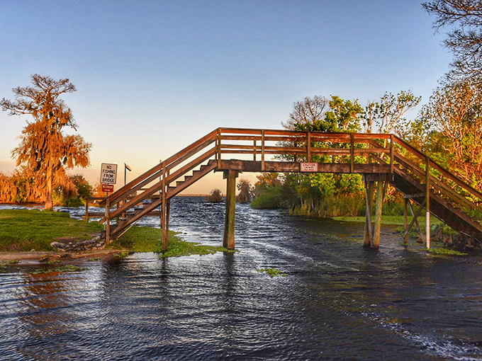 This wooden bridge seems to lead nowhere and everywhere at once, a perfect metaphor for the journey into Florida's wild heart.