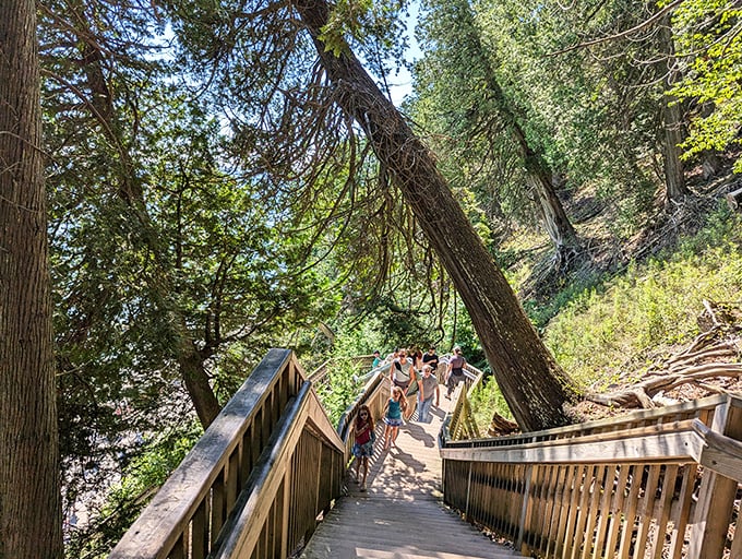 The island's wooden staircases cascade through dense forest, offering welcome rest stops for catching both breath and spectacular views.