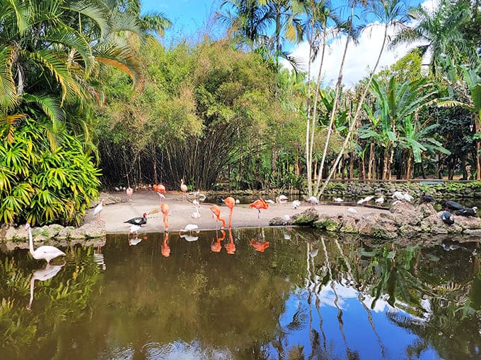 Flamingos strike their signature poses beside calm waters, adding a splash of pink perfection to this tropical paradise scene.