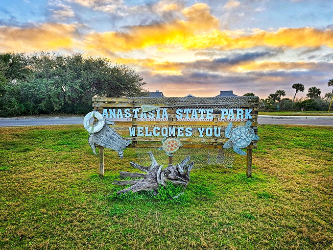 A warm welcome awaits at Anastasia State Park! Enjoy the golden sunset and coastal charm of this historic St. Augustine gem.