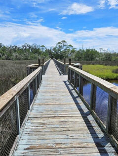 10 Enchanting Historic Forts In Florida That Are Straight Out Of A ...
