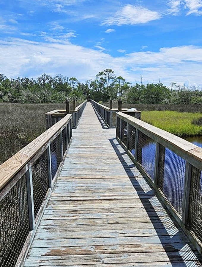 A wooden boardwalk invites visitors to explore the natural beauty surrounding this historically significant site where freedom seekers built new lives.