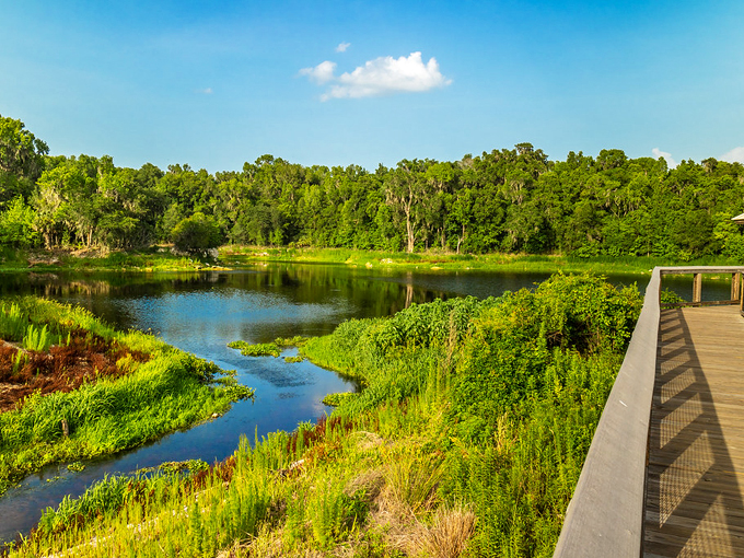 Alachua Sink (Gainesville)
