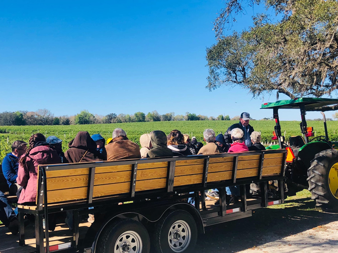 amber brooke farms 5