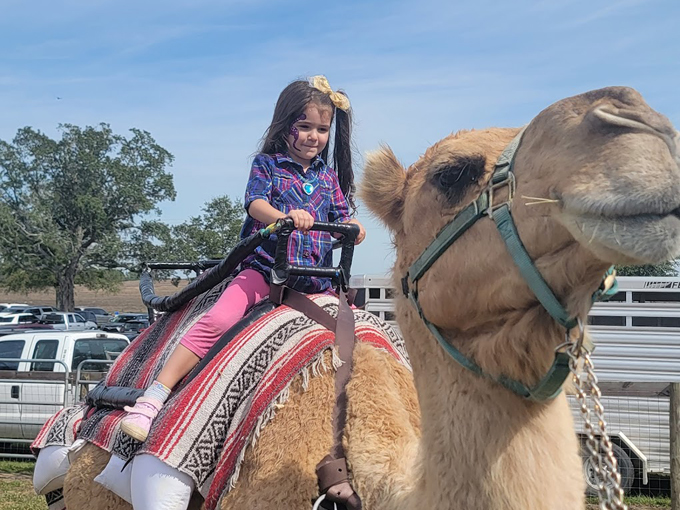 amber brooke farms 6