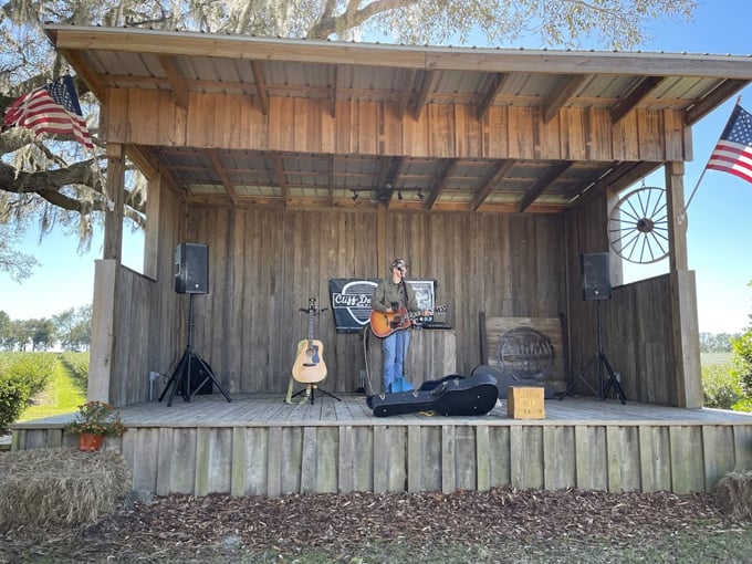 amber brooke farms 7