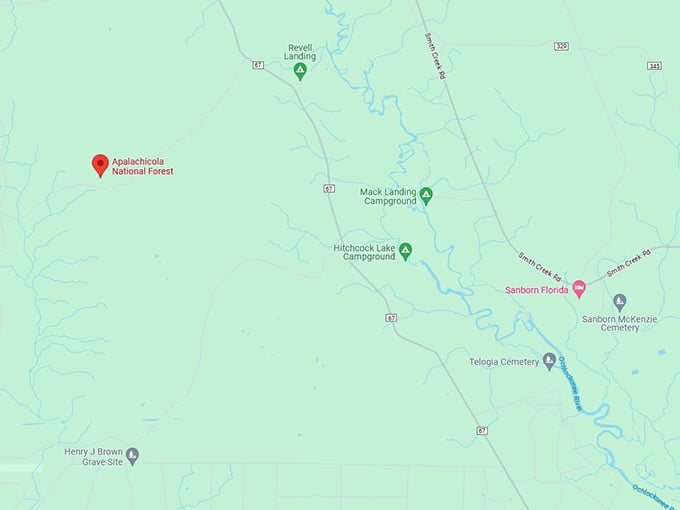 Apalachicola National Forest 10 map