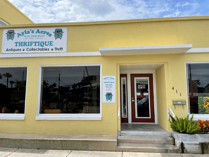 Ayla's Acres No-Kill Animal Rescue Thriftique (St. Augustine)