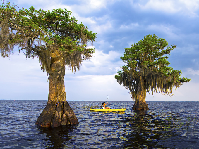 Blue Cypress Lake