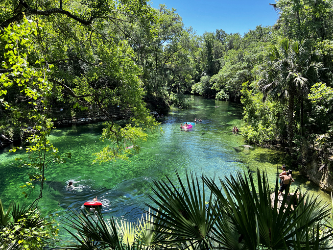 Blue Spring State Park (Orange City)
