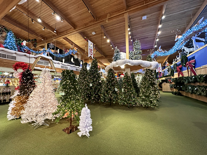 Bronner's CHRISTmas Wonderland 4