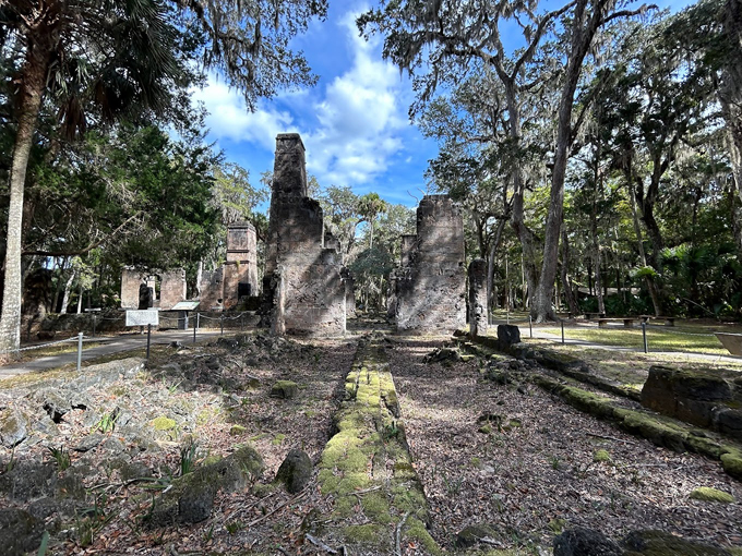 Bulow Plantation Ruins 6