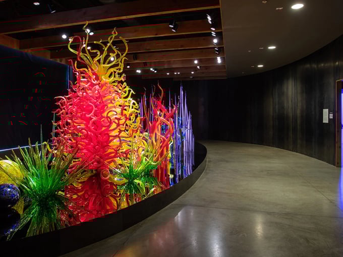 Chihuly Collection