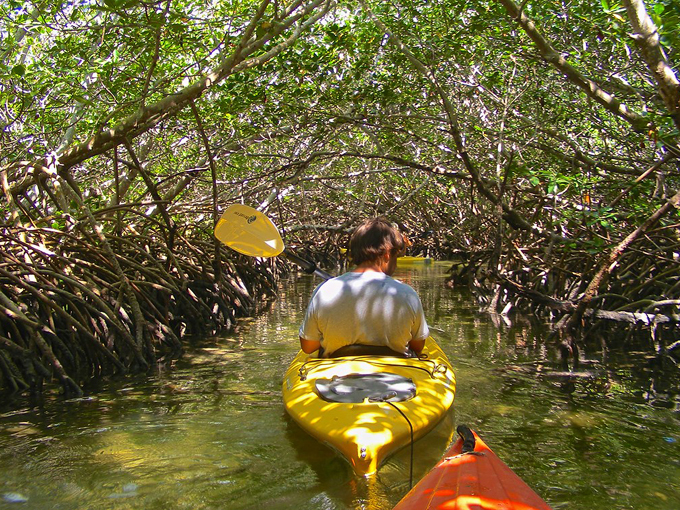 Curry Hammock State Park (Marathon)