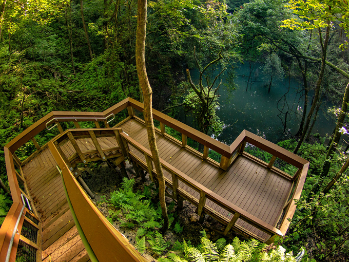 Devil's Millhopper Geological State Park (Gainesville)