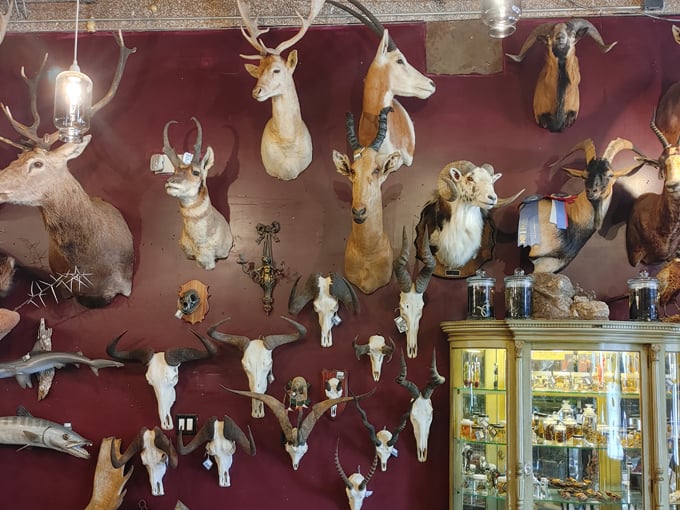 Dysfunctional Grace Art Co. 3