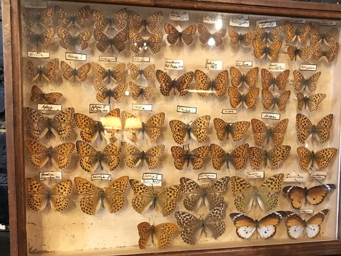 Dysfunctional Grace Art Co. 4