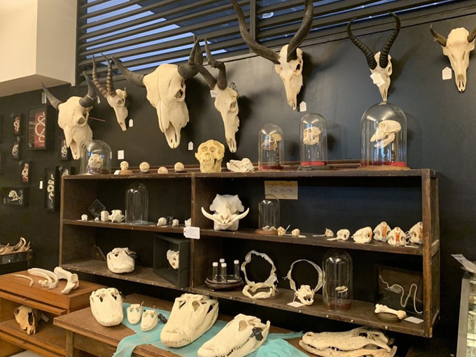 Dysfunctional Grace Art Co. 7