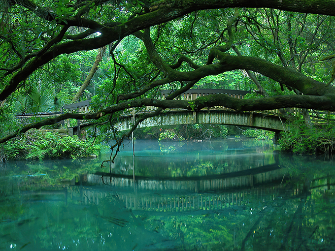 Fern Hammock Springs