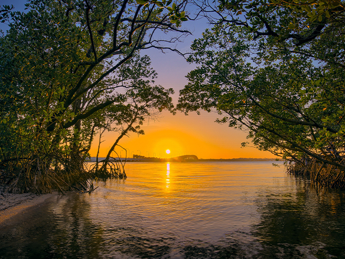 Indian River Lagoon Preserve State Park