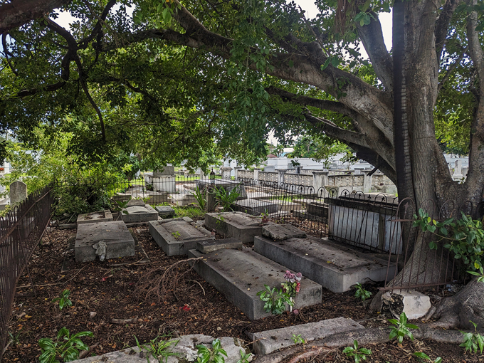 Key West Cemetery (Key West)