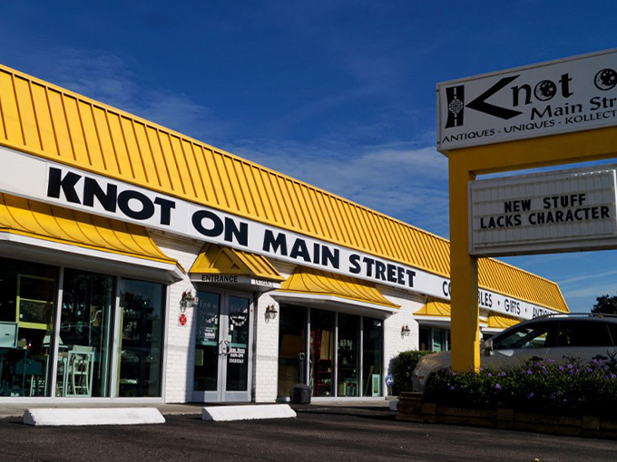 Knot On Main Street (Dunedin)