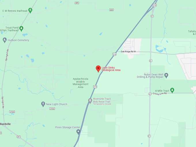 leon sinks geological area 10 map