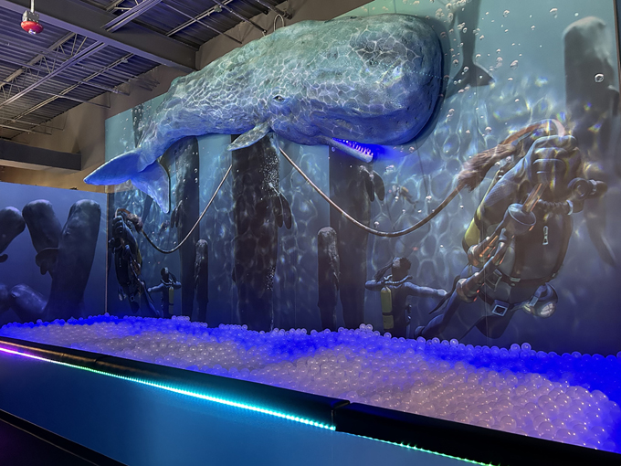 lonely dog immersive experience 3