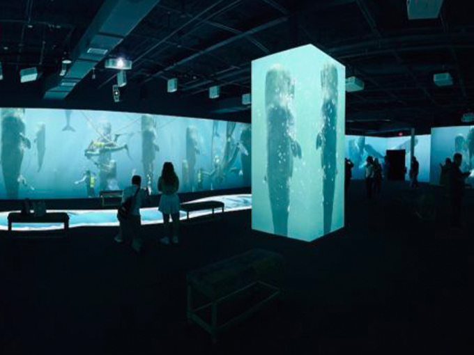 lonely dog immersive experience 8