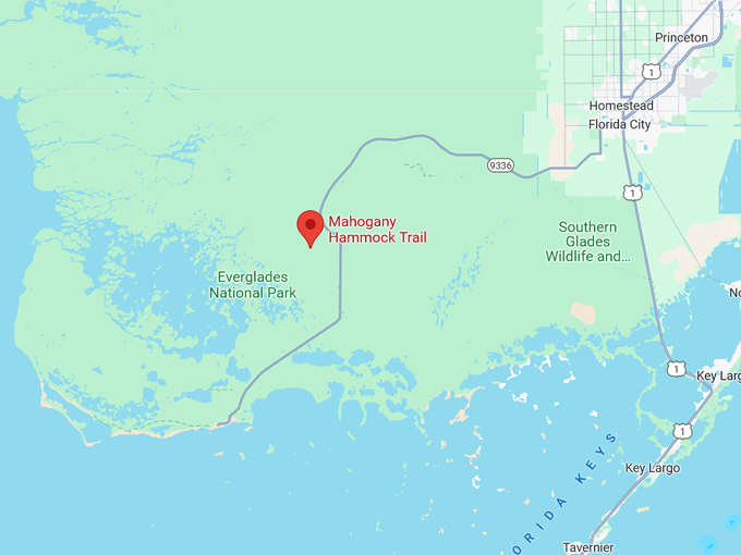 mahogany hammock trail 10 map