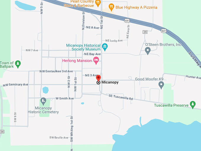 micanopy 10 map