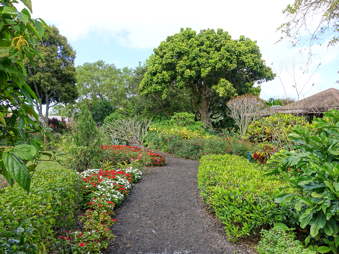 Mounts Botanical Garden