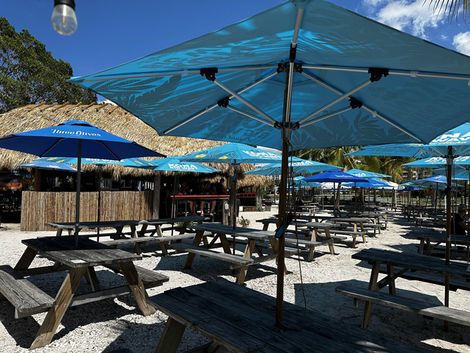 O'Leary's Tiki Bar & Grill (Sarasota)