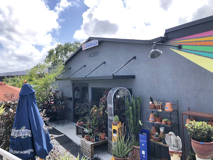 OddBalls Nifty Thrift (Oakland Park)