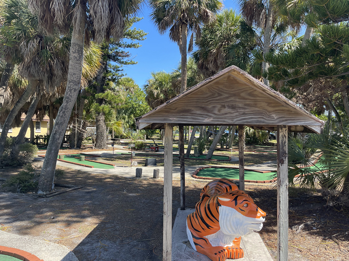 polynesian putter mini golf 8