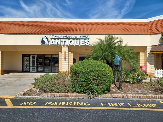 Somewhere In Time (Brandon)