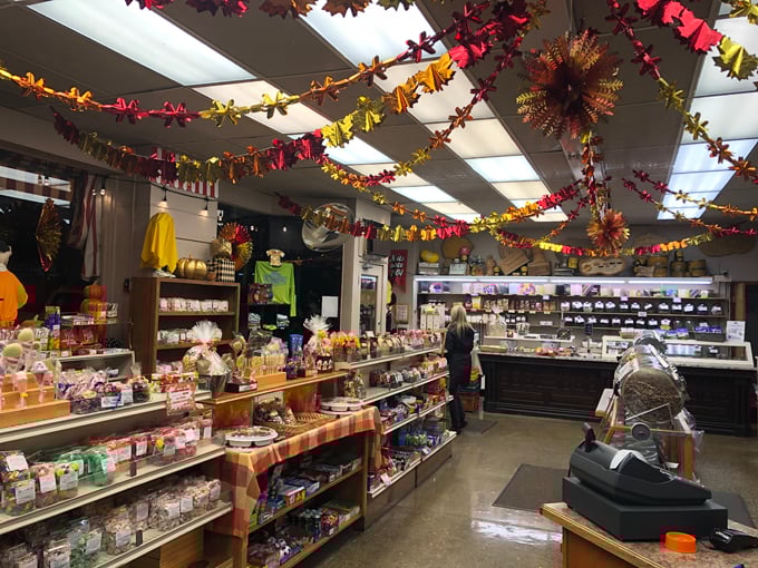 St Laurent Brothers 2