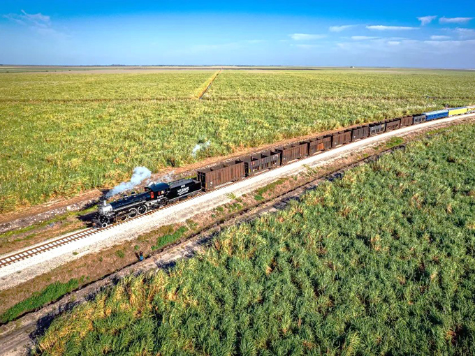 Sugar Express Train 5