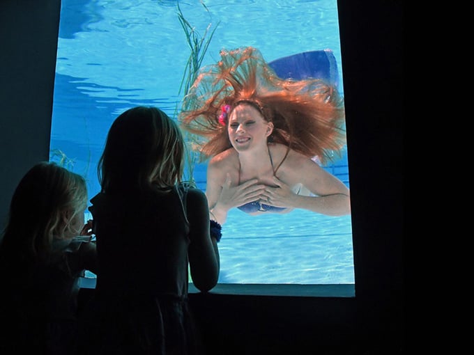 The Wreck Bar Mermaid Shows (Fort Lauderdale)