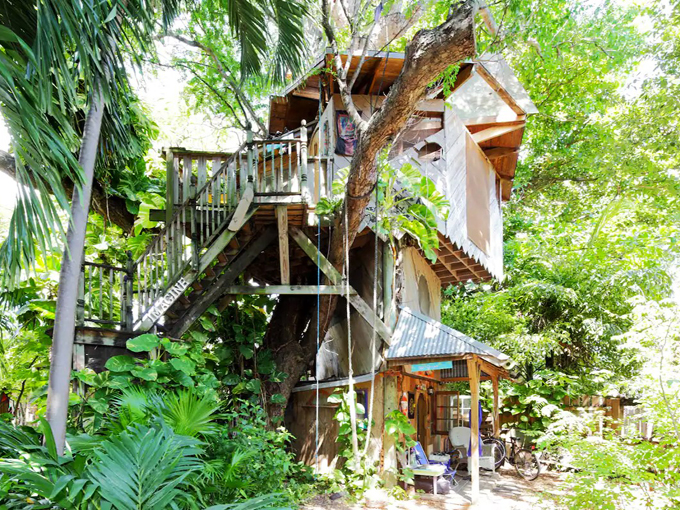 Treehouse Canopy Room: Permaculture Farm (Miami)