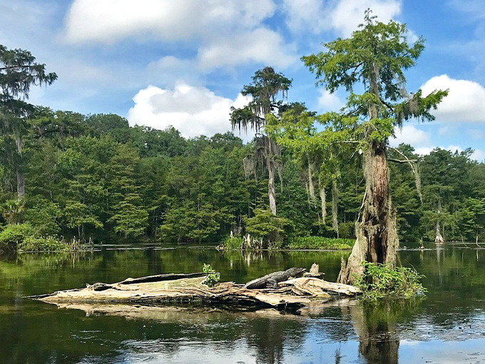 Wakulla Springs (Crawfordville)