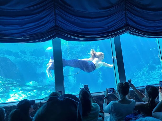 Weeki Wachee: City of Live Mermaids (Spring Hill)